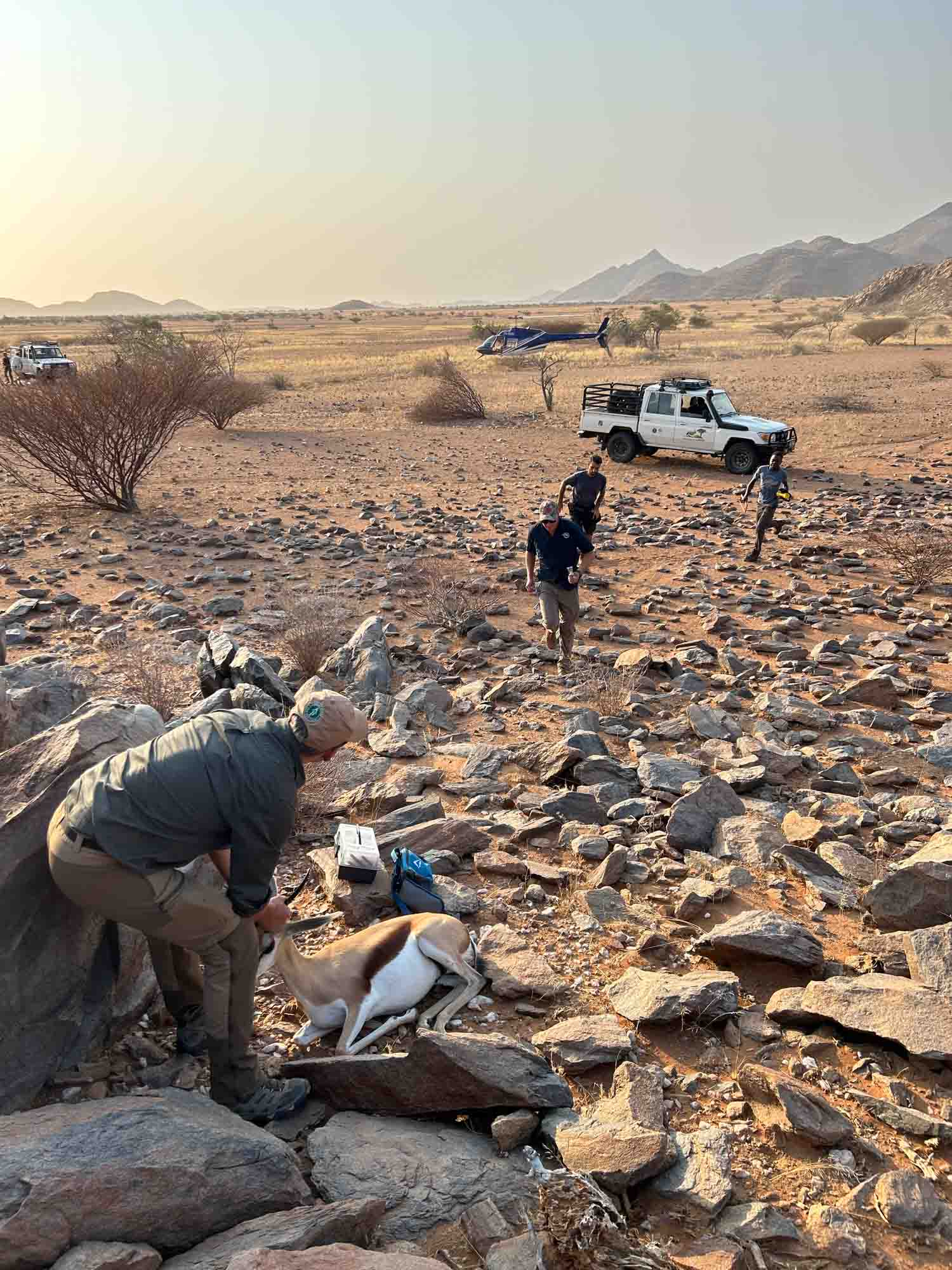 Wild Wonderful World Conservation | Inspiring & Empowered Conservation ...