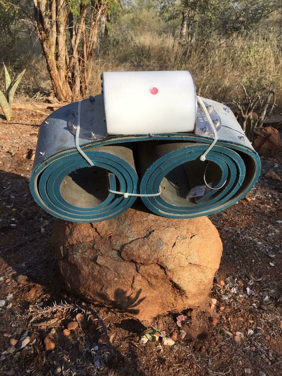 Shop for Wildlife | Elephant GPS Collar