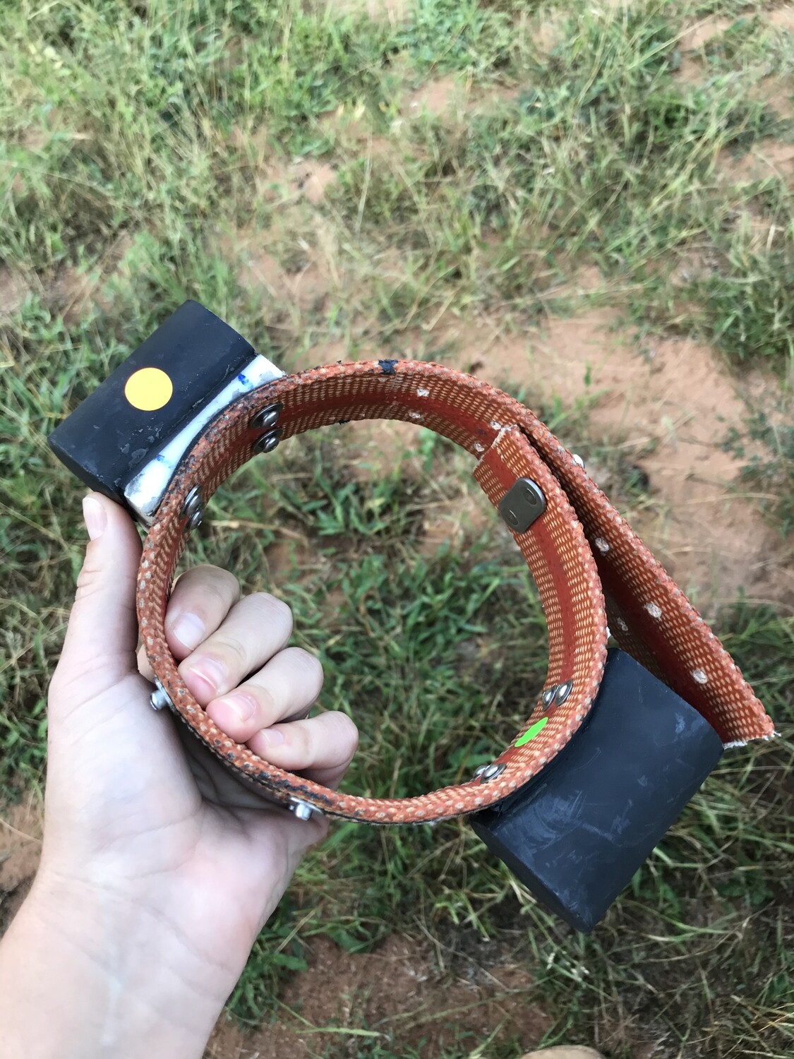 Shop for Wildlife | Flexi GPS Collar