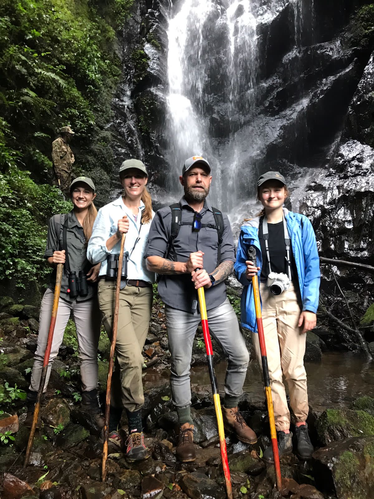 Wild Wonderful World | Gorilla trekking FAQ, tips & tricks | | Travel ...