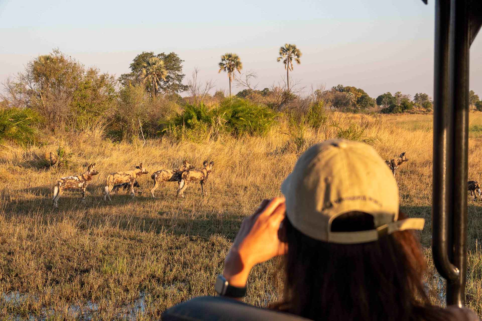 Wild Wonderful World | A Botswana Okavango Delta Safari: an Okavango ...