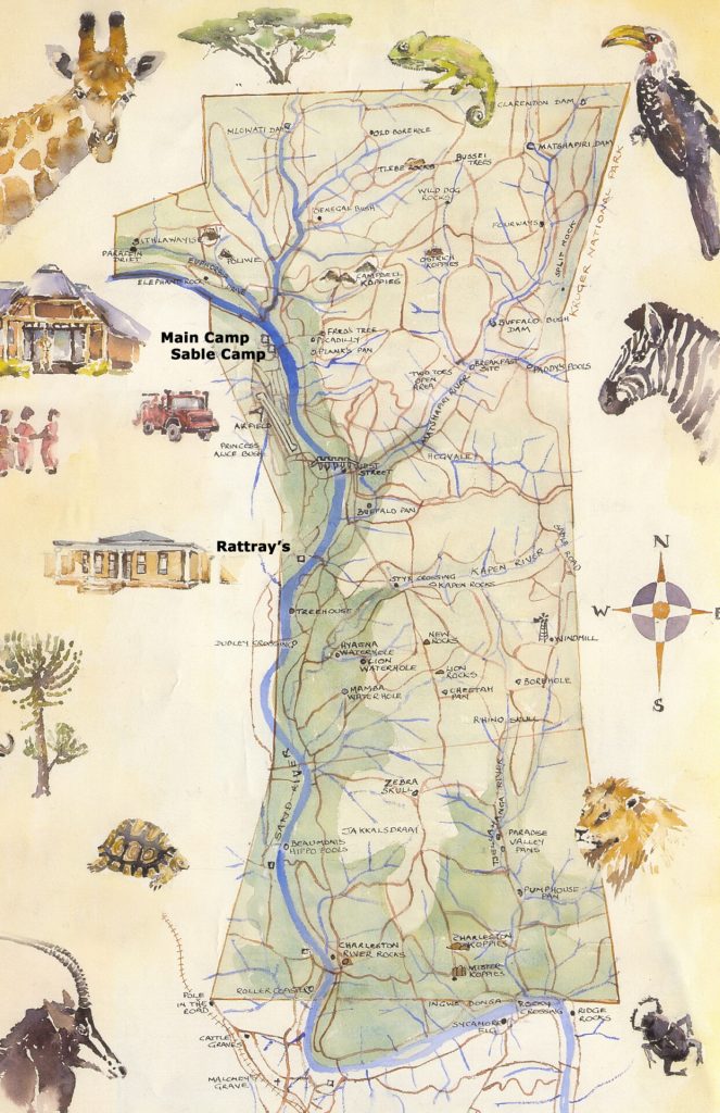 Wild Wonderful World | Mala Mala: Big Five Powerhouse, Photographic ...