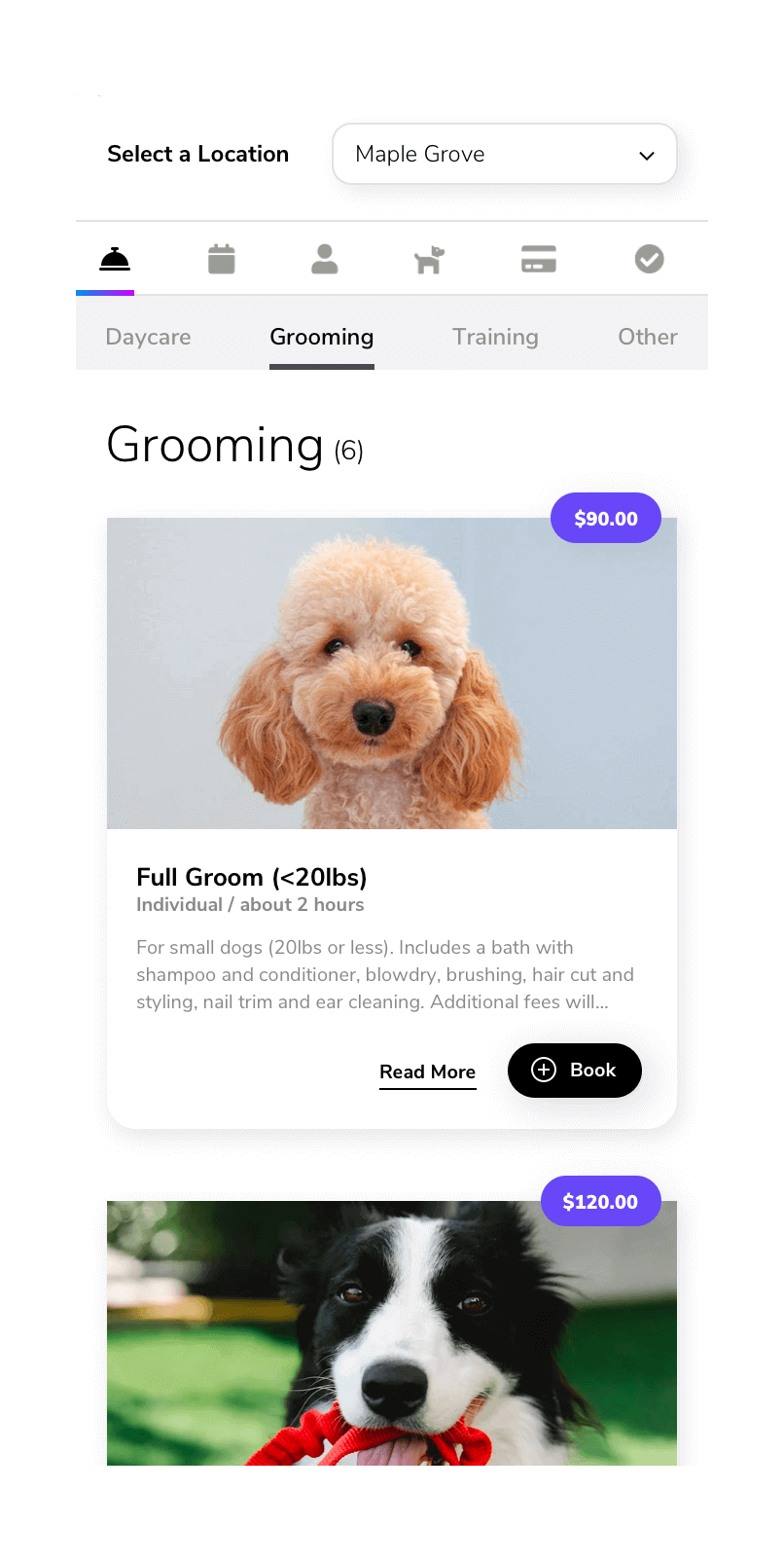 BusyPaws | Premiere Dog Grooming Software