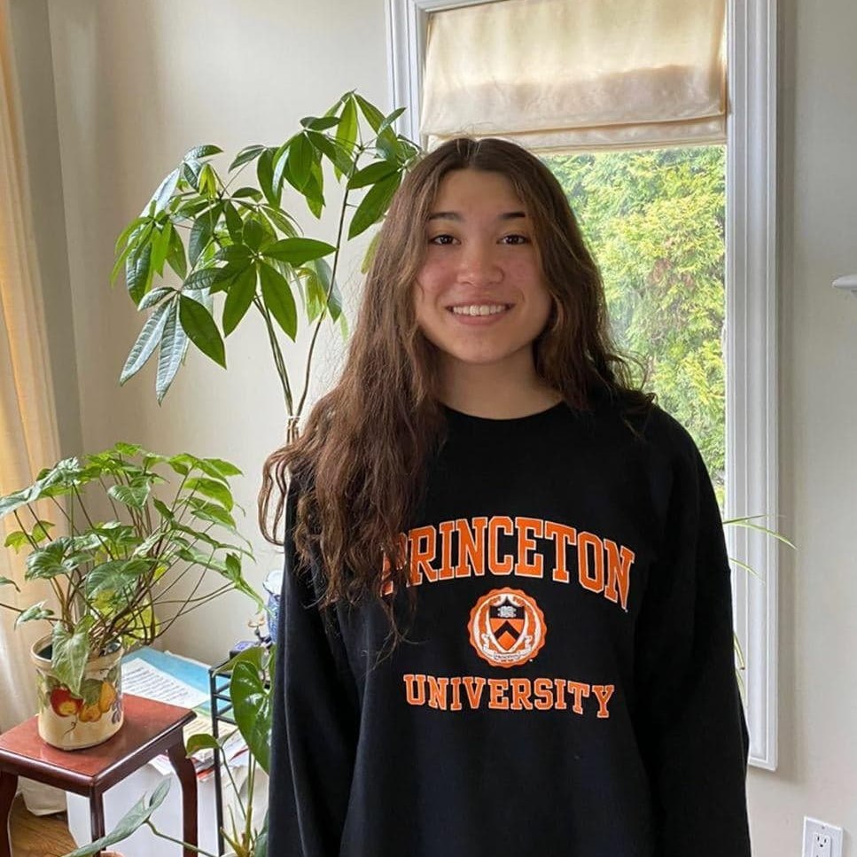 The iResearch Institute - About Us