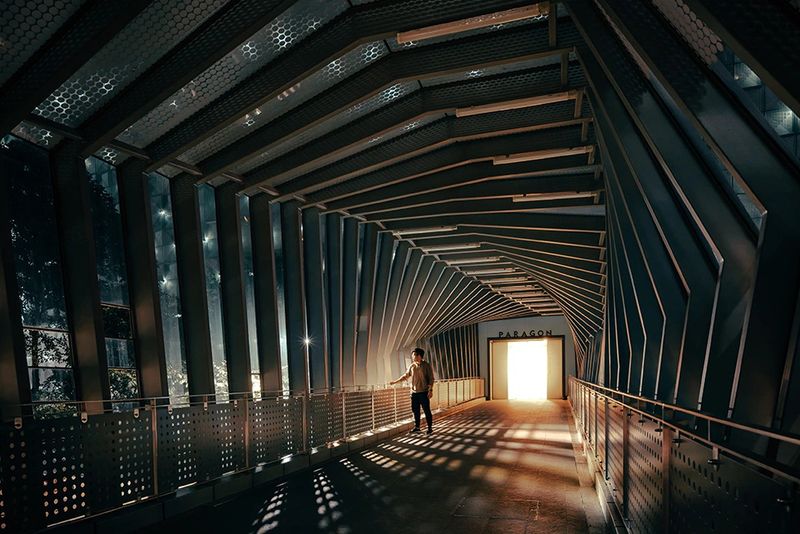 Grass Fed Whey Protein Powder