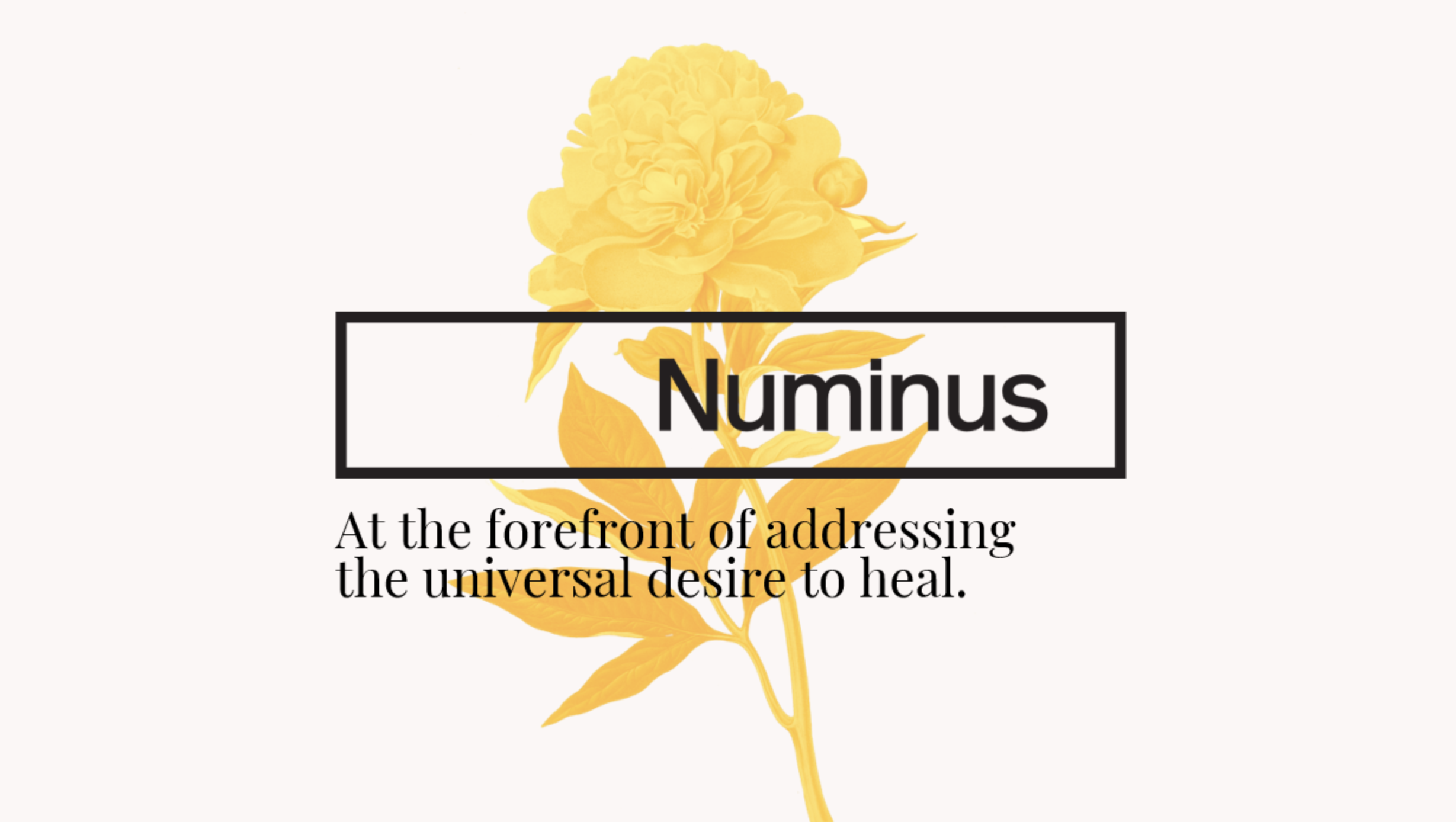 Numinus | Psychedelic Finance