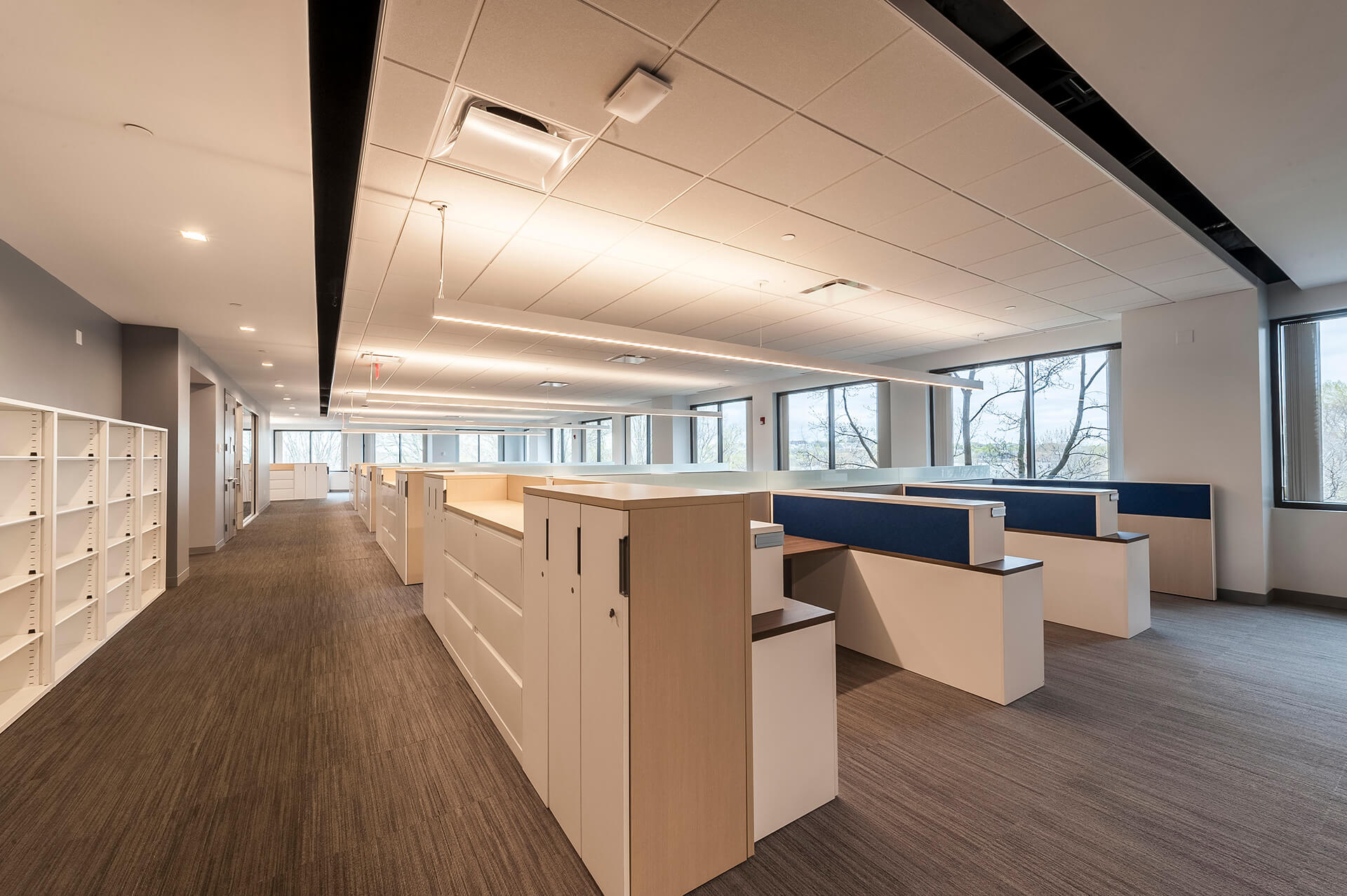 Wiley Publishing Office Fit-Out | Ebbrell Architecture + Design