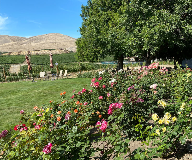 Seasonal Sips, Summer Trips & Style Tips | TANNA BY DESIGN®