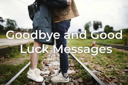 35+ Goodbye and Good Luck Messages & Greetings | Styiens