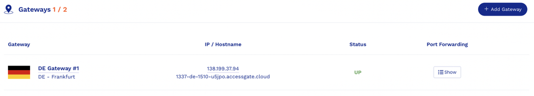 VPN with Static IP Explained | GoodAccess®