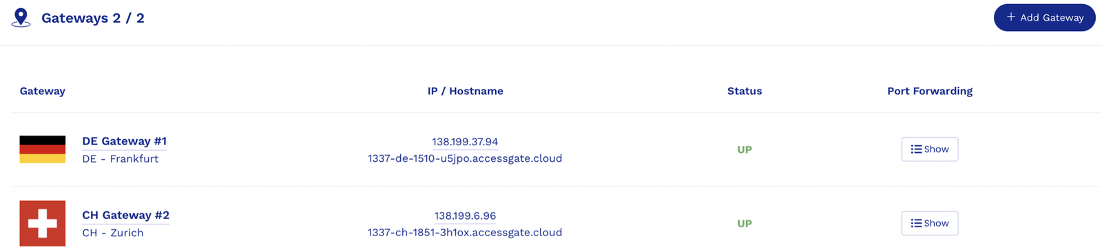VPN with Static IP Explained | GoodAccess®