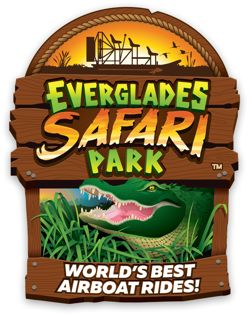 Ultimate Guide: Common Animals in the Everglades