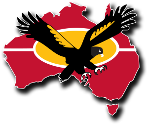 National Aboriginal Community Controlled Health Organisation (NACCHO ...