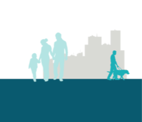 National Standards for Disability Services | Publications | Our Site