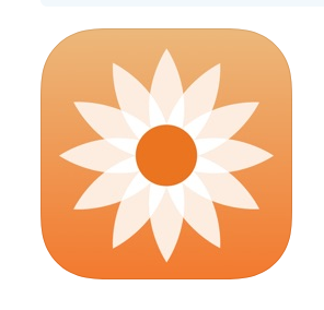 Daisy App | Apps | Our Site
