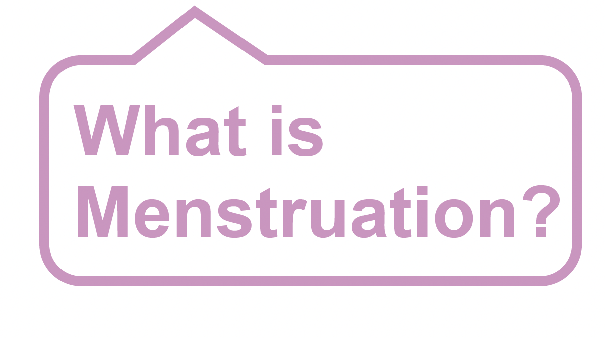 WWDA Youth Fact Sheet: Menstruation | Guides | Our Site