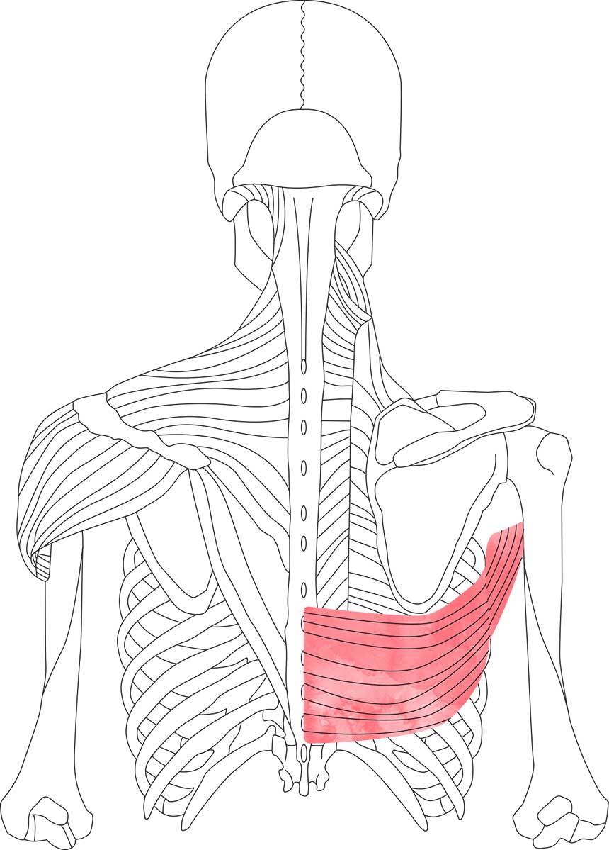 Shoulder Surgery - Shoulder Clinic