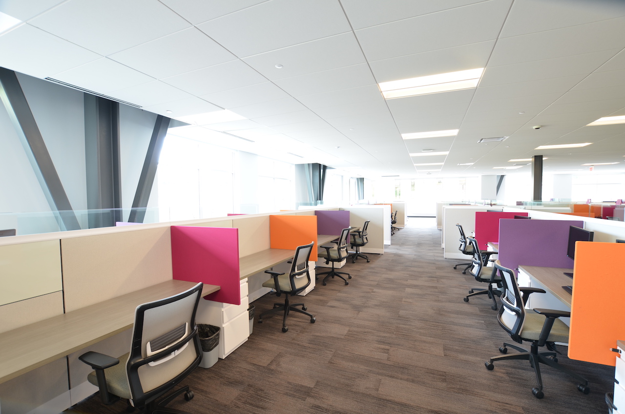 Connective Rx | Workscape Project