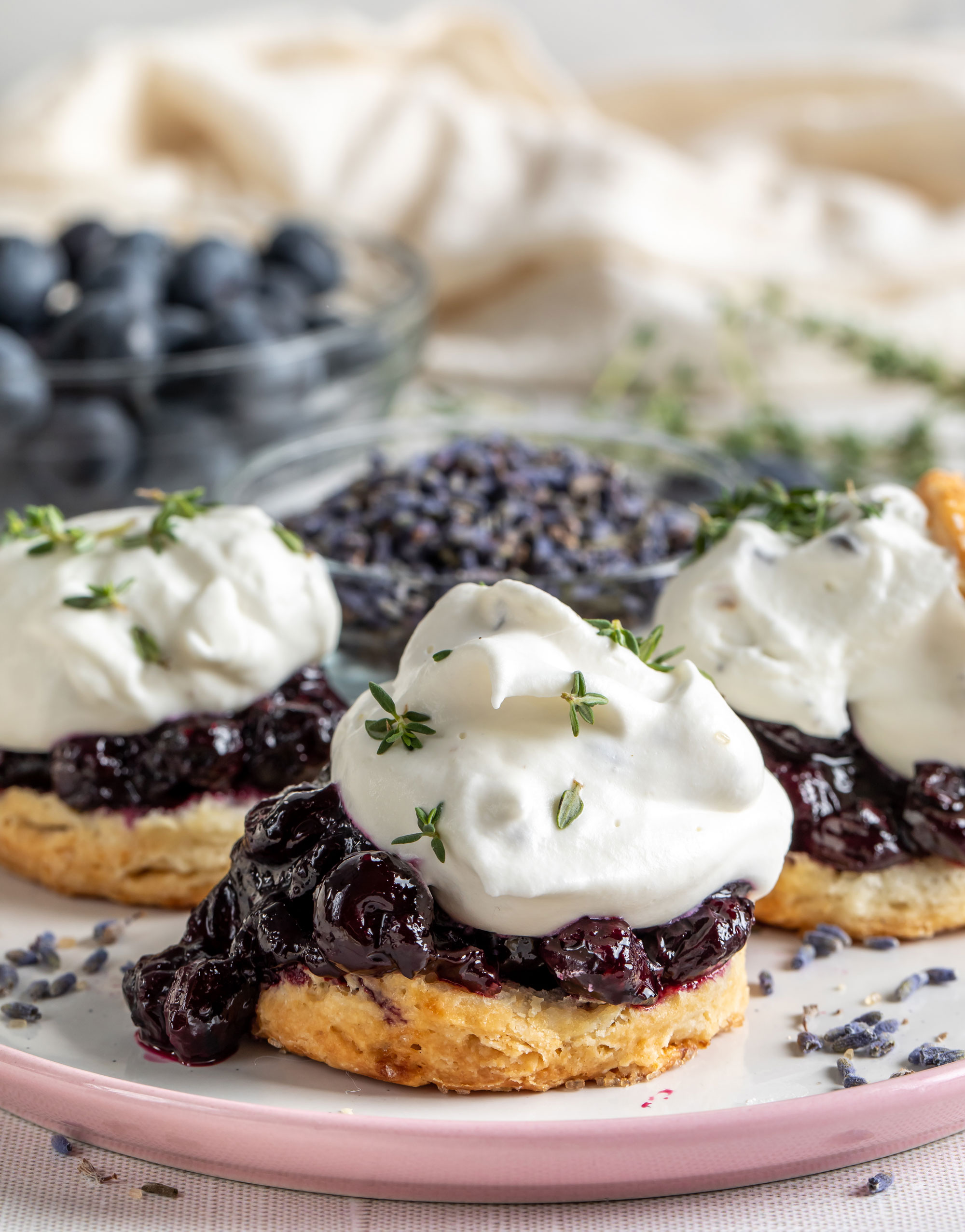 It's Blueberry Season, Make This Shortcake Recipe Now | Life with Ryan