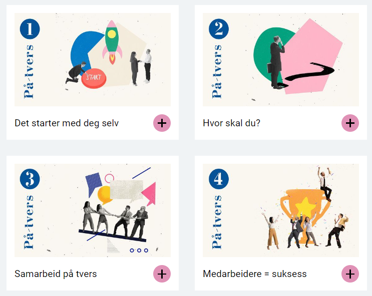 Lederutviklingsprogram