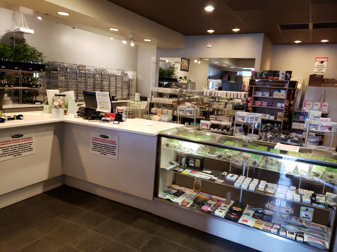 Terrayn Dispensary Marketing | Fueling Retail Cannabis