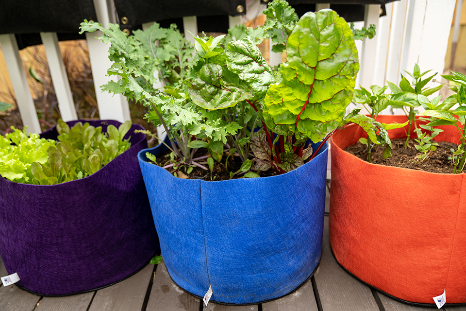 Smart Pot | Made in Oklahoma