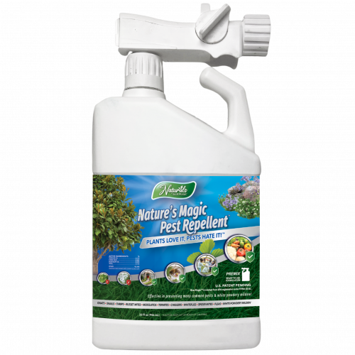 Naturals by Blue Magic | Made in Oklahoma