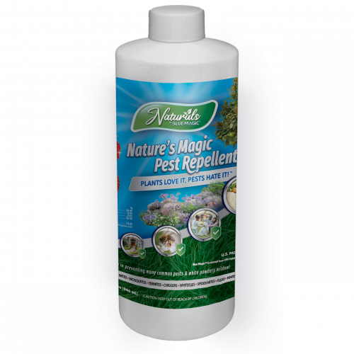 Naturals by Blue Magic | Made in Oklahoma