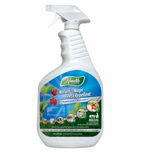 Naturals by Blue Magic | Made in Oklahoma