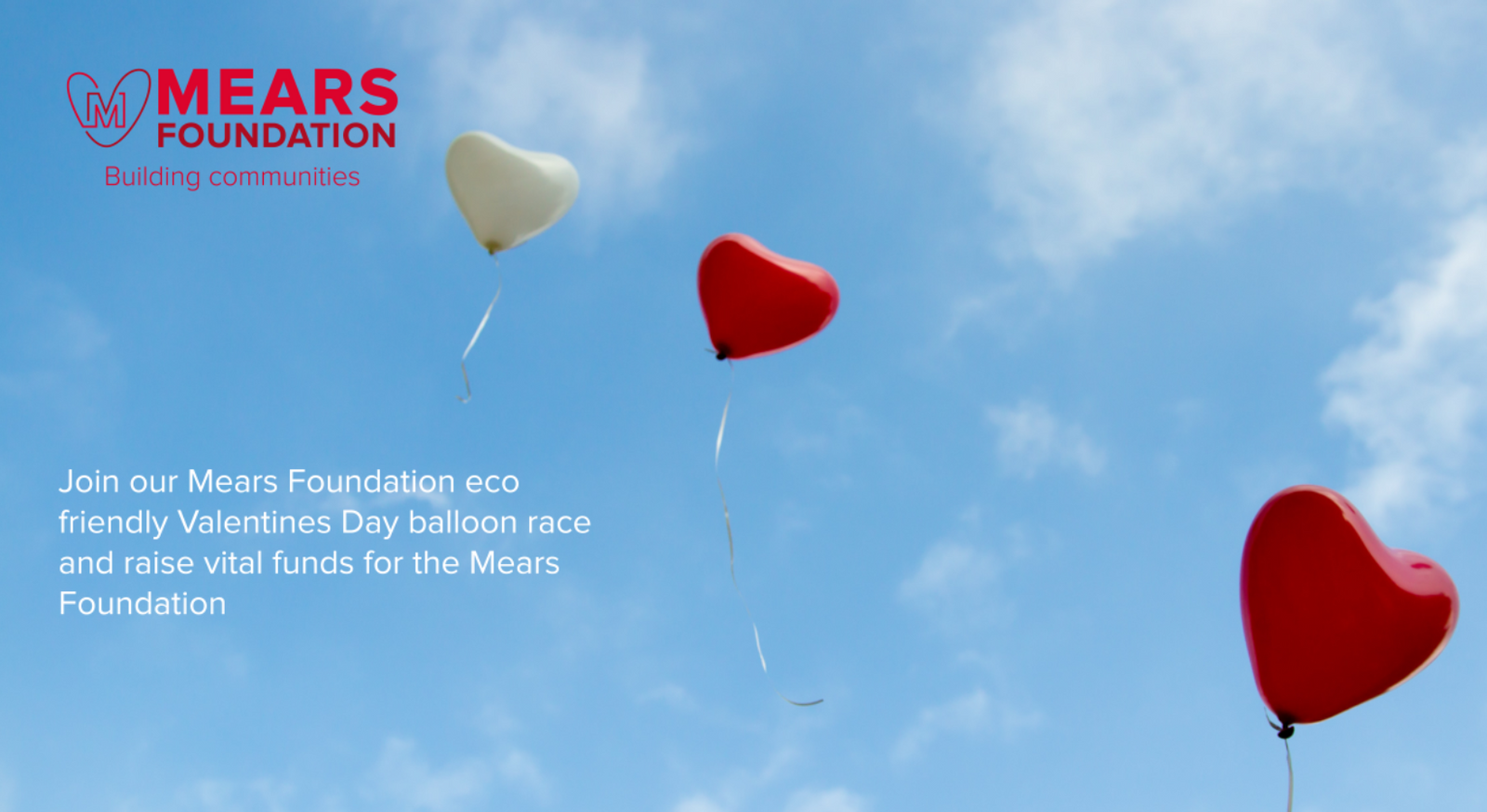 The Mears Foundation