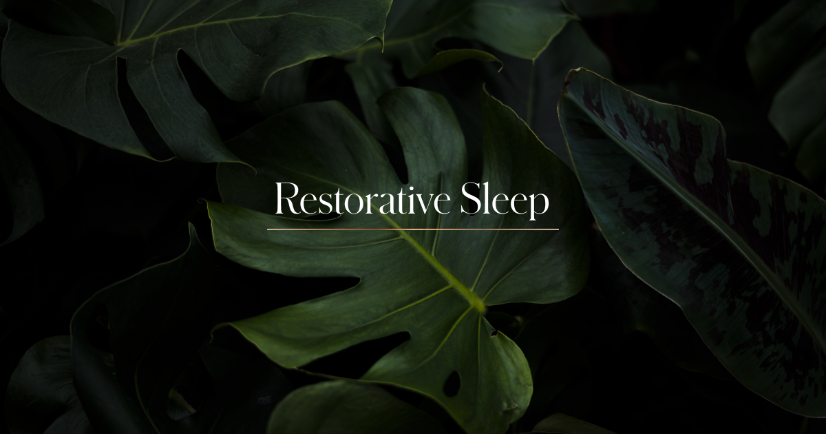 Restorative Sleep | Restorative Technology | Bryte