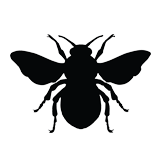 Carpenter Bee Control & Exterminator Woodbridge VA