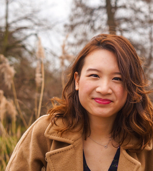 SDG Students Program