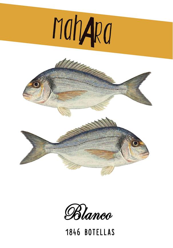 Producer Profile - Bodega Vinifícate