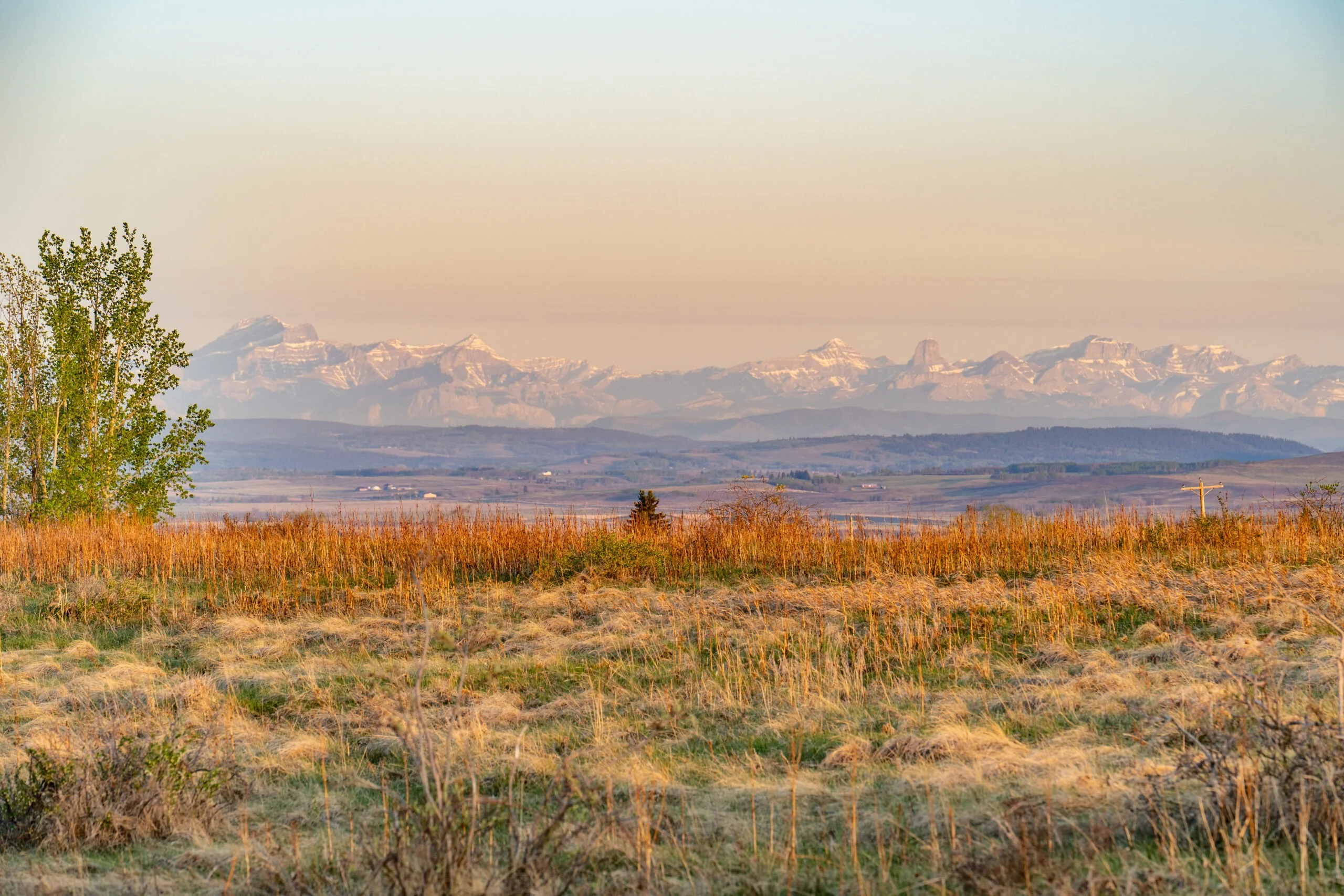 Akash Homes | West Hawk | Cochrane