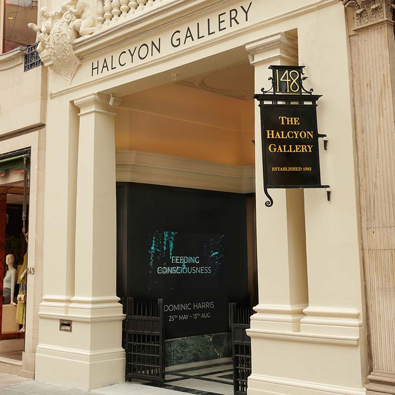 Studio and Gallery contact for Dominic Harris