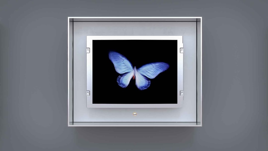 Flutter