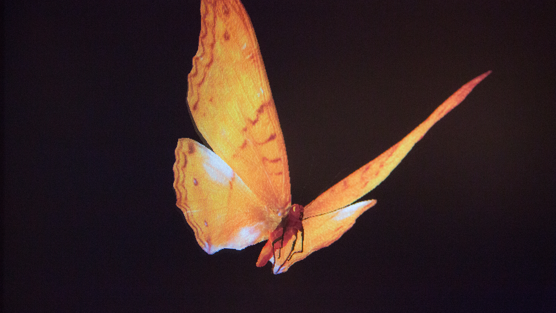 Baby Flutter: Full Series