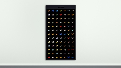 Flutter Wall