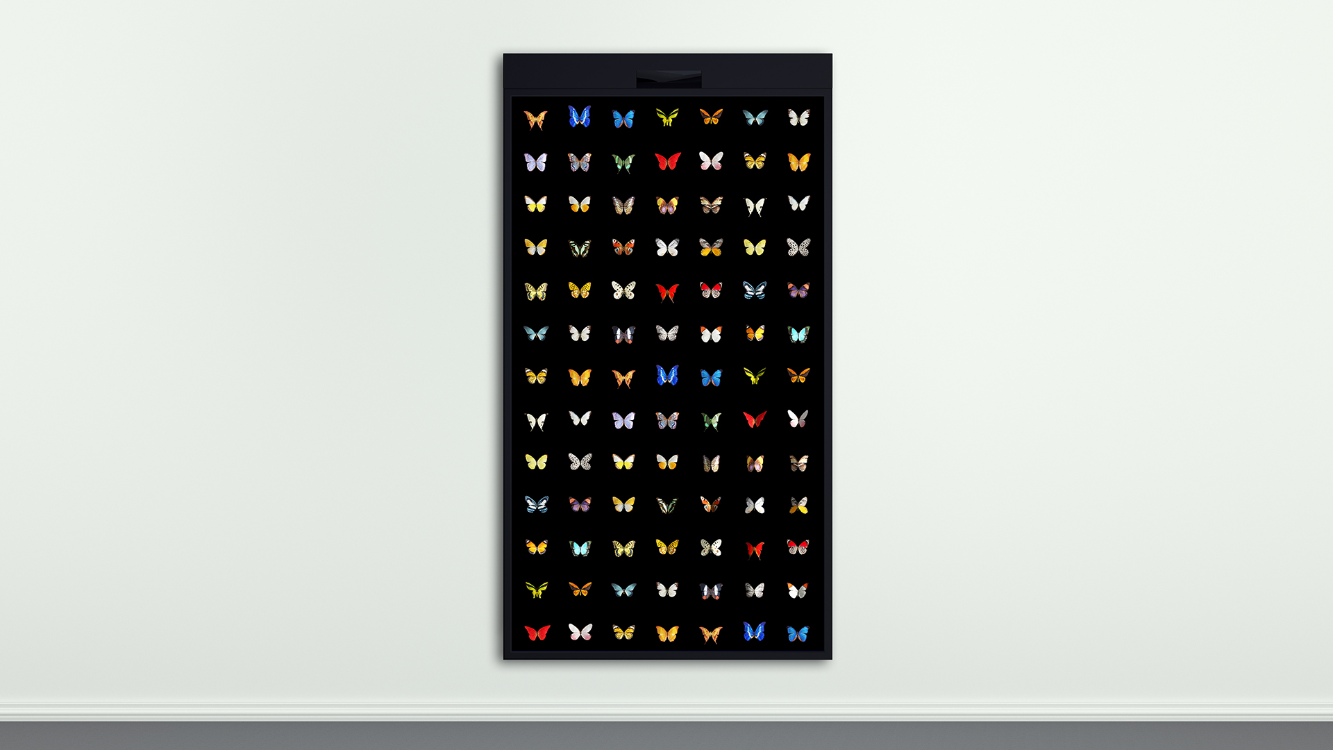 Flutter Wall