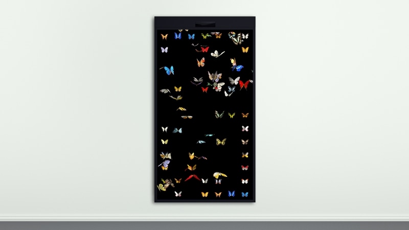 Flutter Wall
