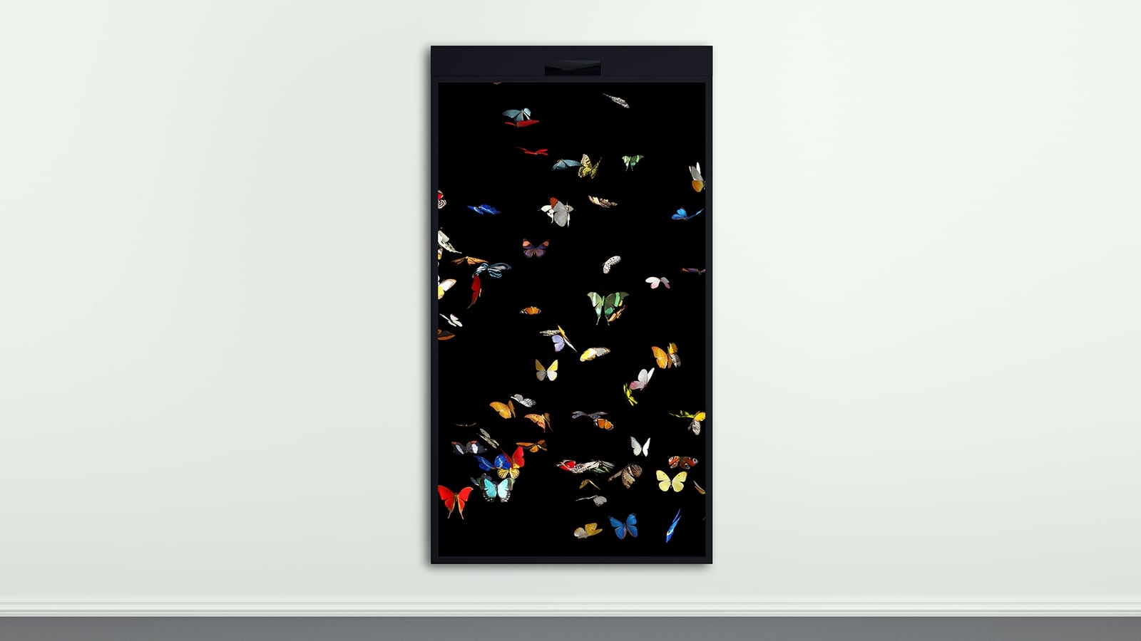 Flutter Wall
