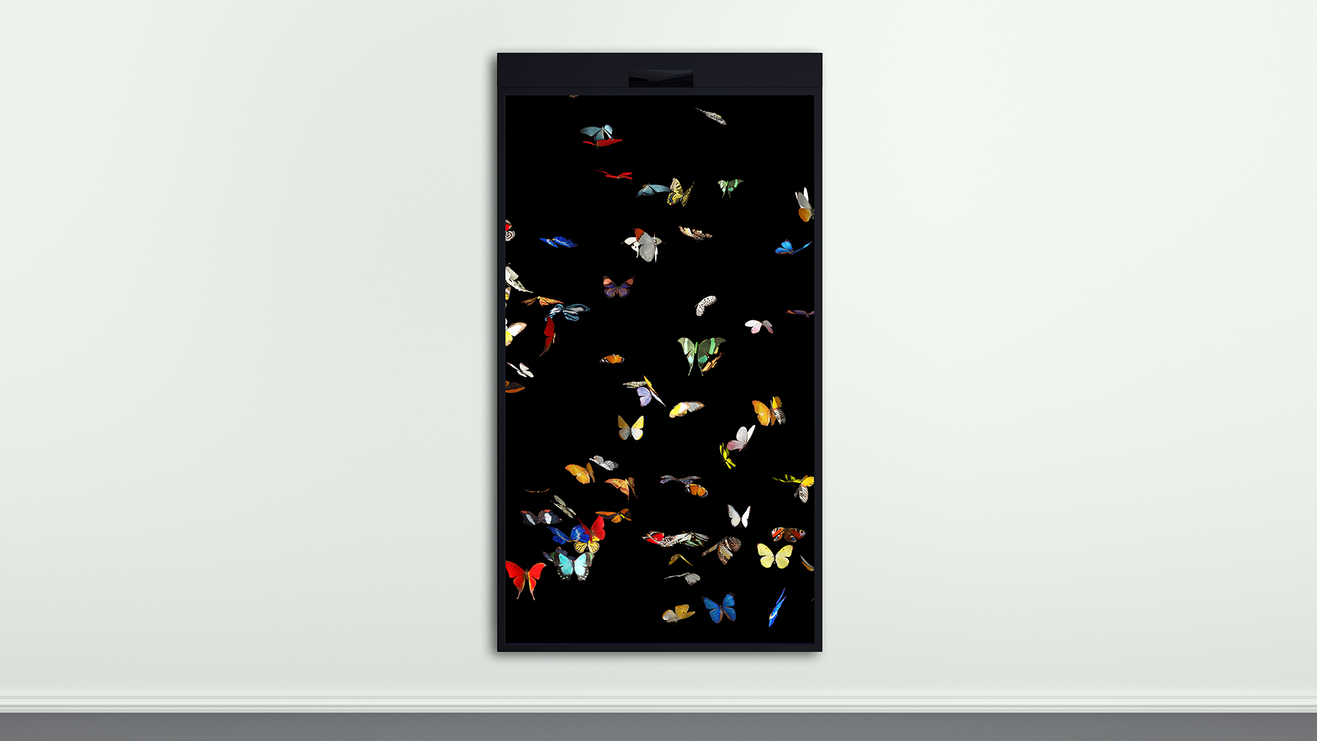 Flutter Wall
