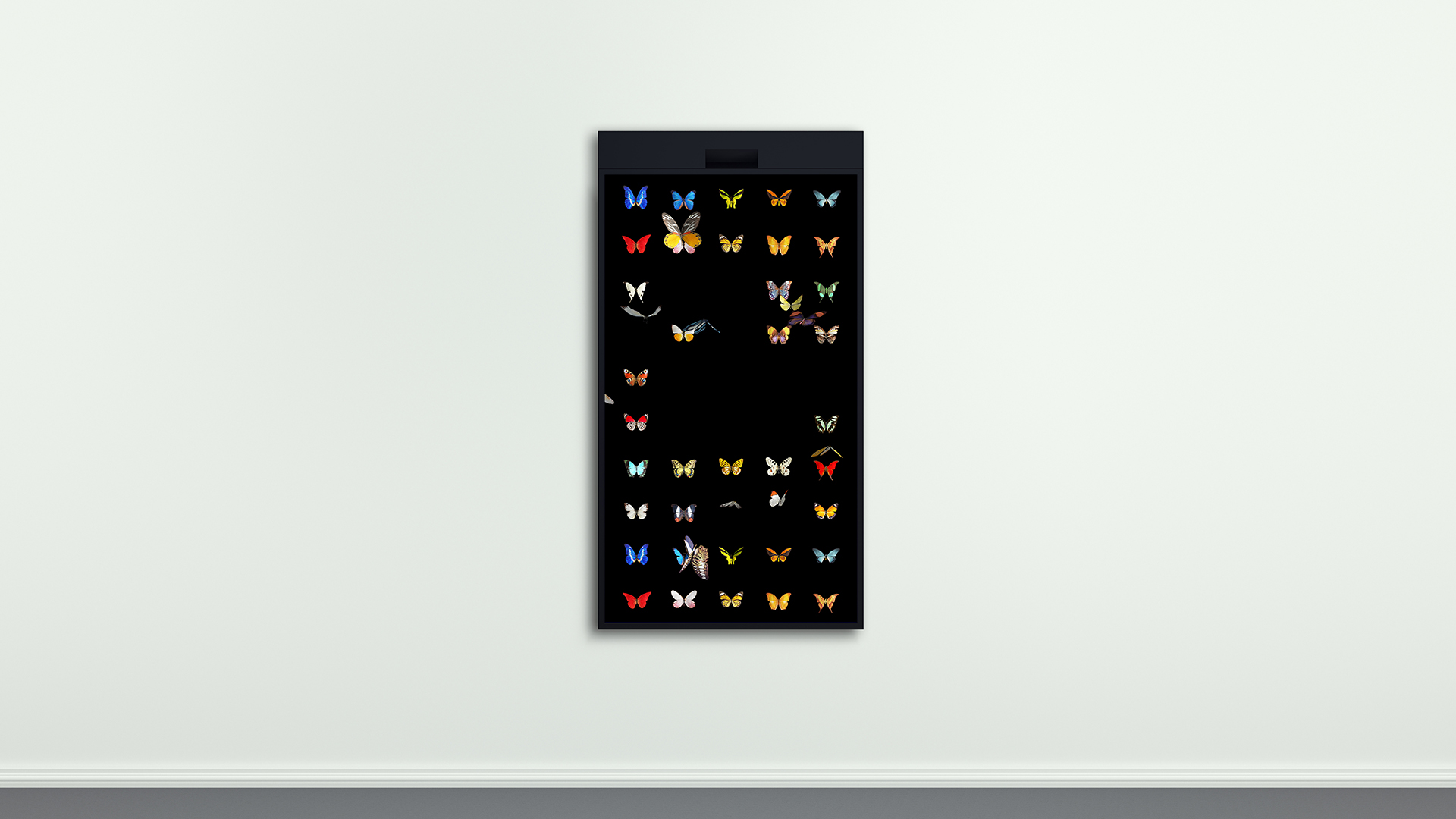 Flutter Wall
