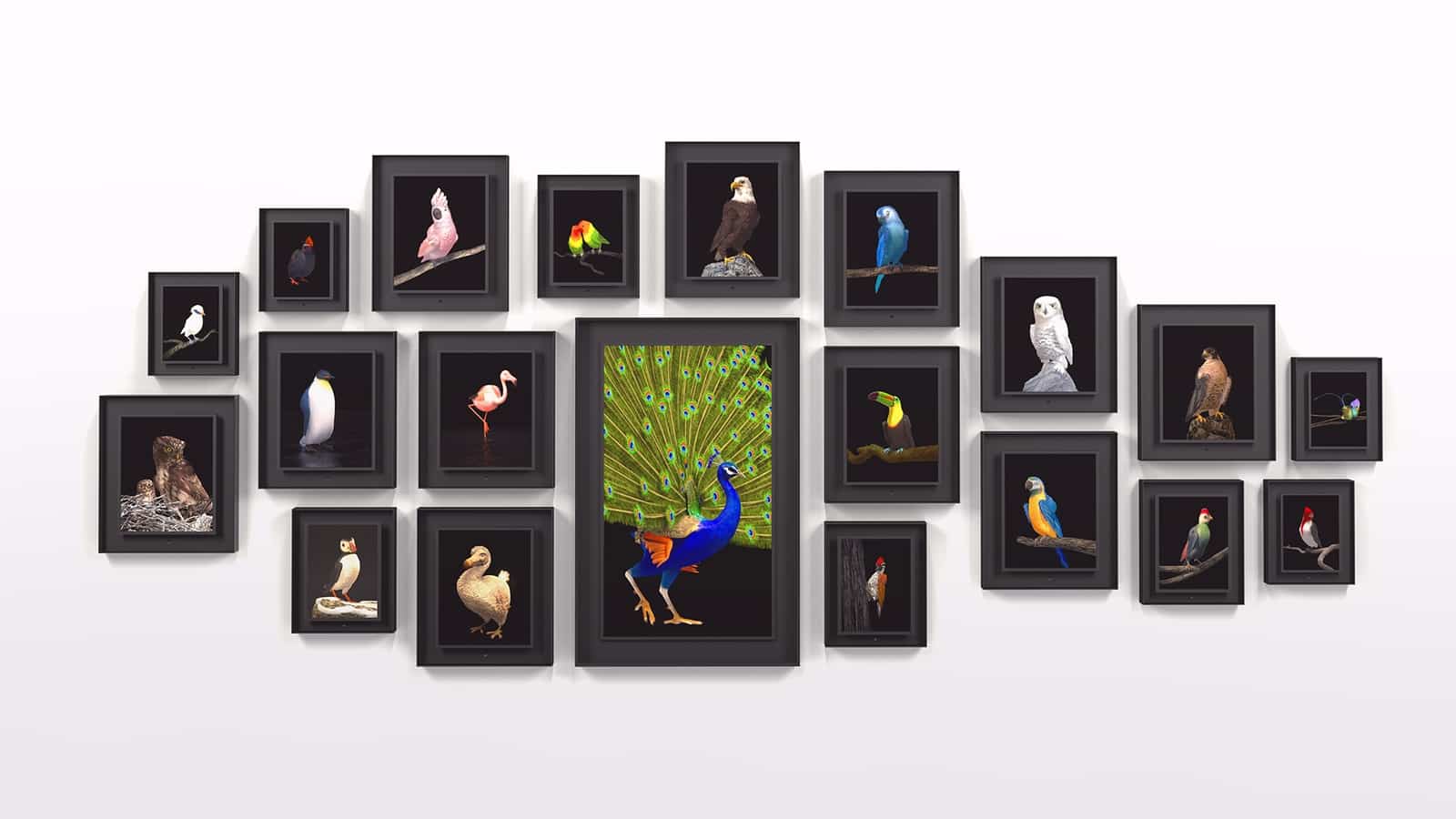 Dominic Harris - artworks