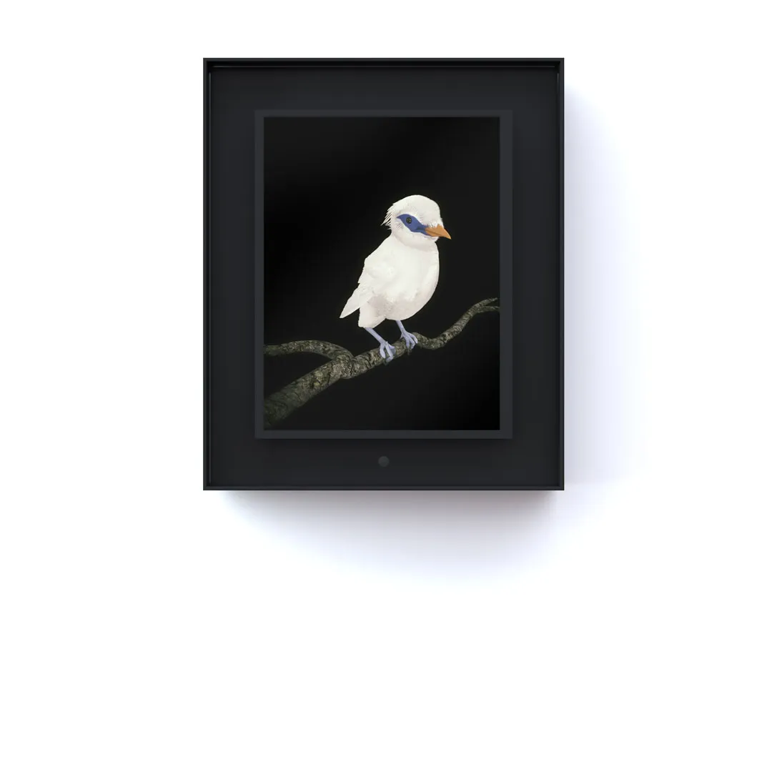 Ruffled Artworks by Dominic Harris