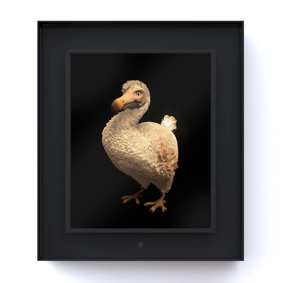 Ruffled Artworks by Dominic Harris