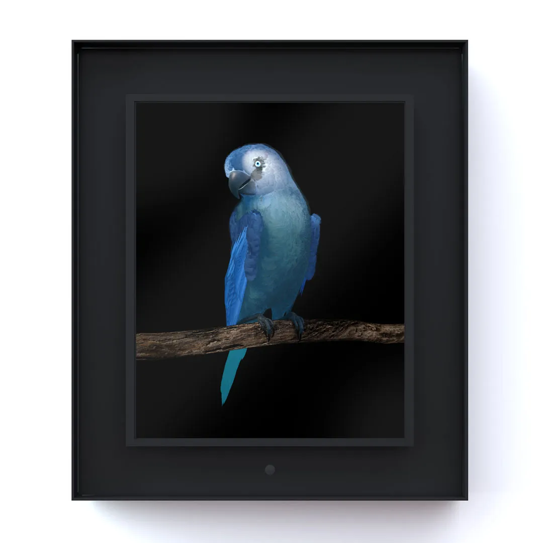 Ruffled Artworks by Dominic Harris