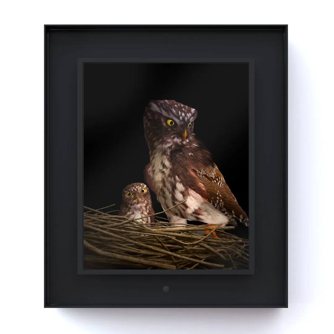 Ruffled Artworks by Dominic Harris