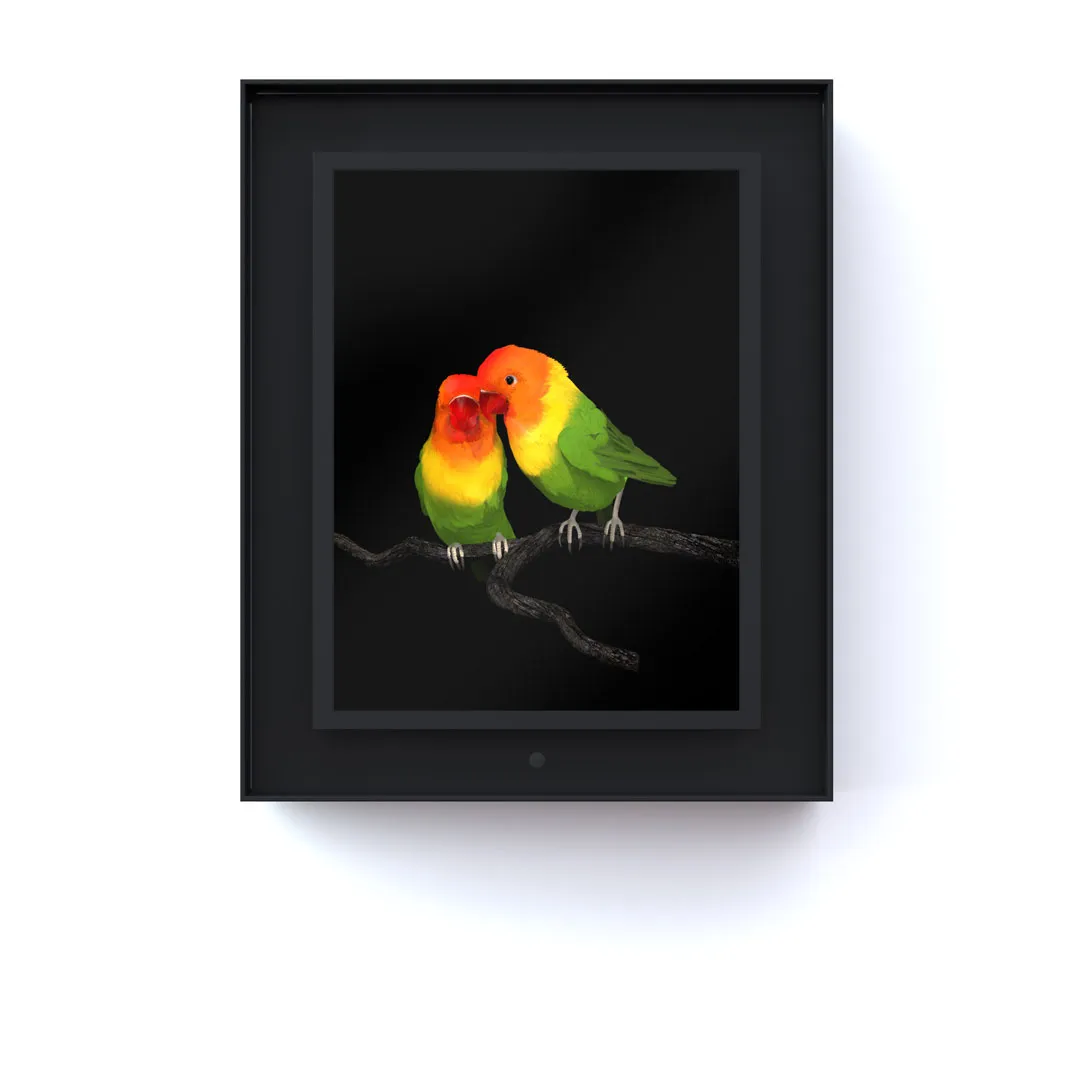 Ruffled Artworks by Dominic Harris